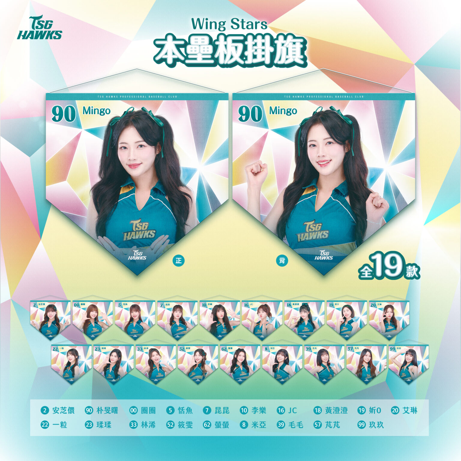 Wing Stars本壘板掛旗 - TSG Hawks