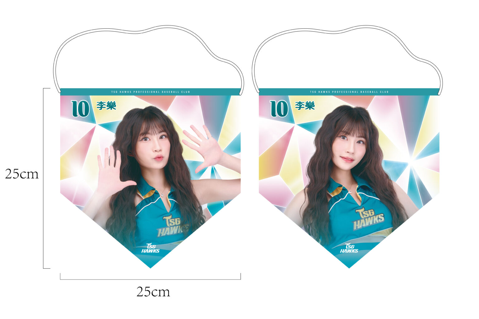 Wing Stars本壘板掛旗 - TSG Hawks
