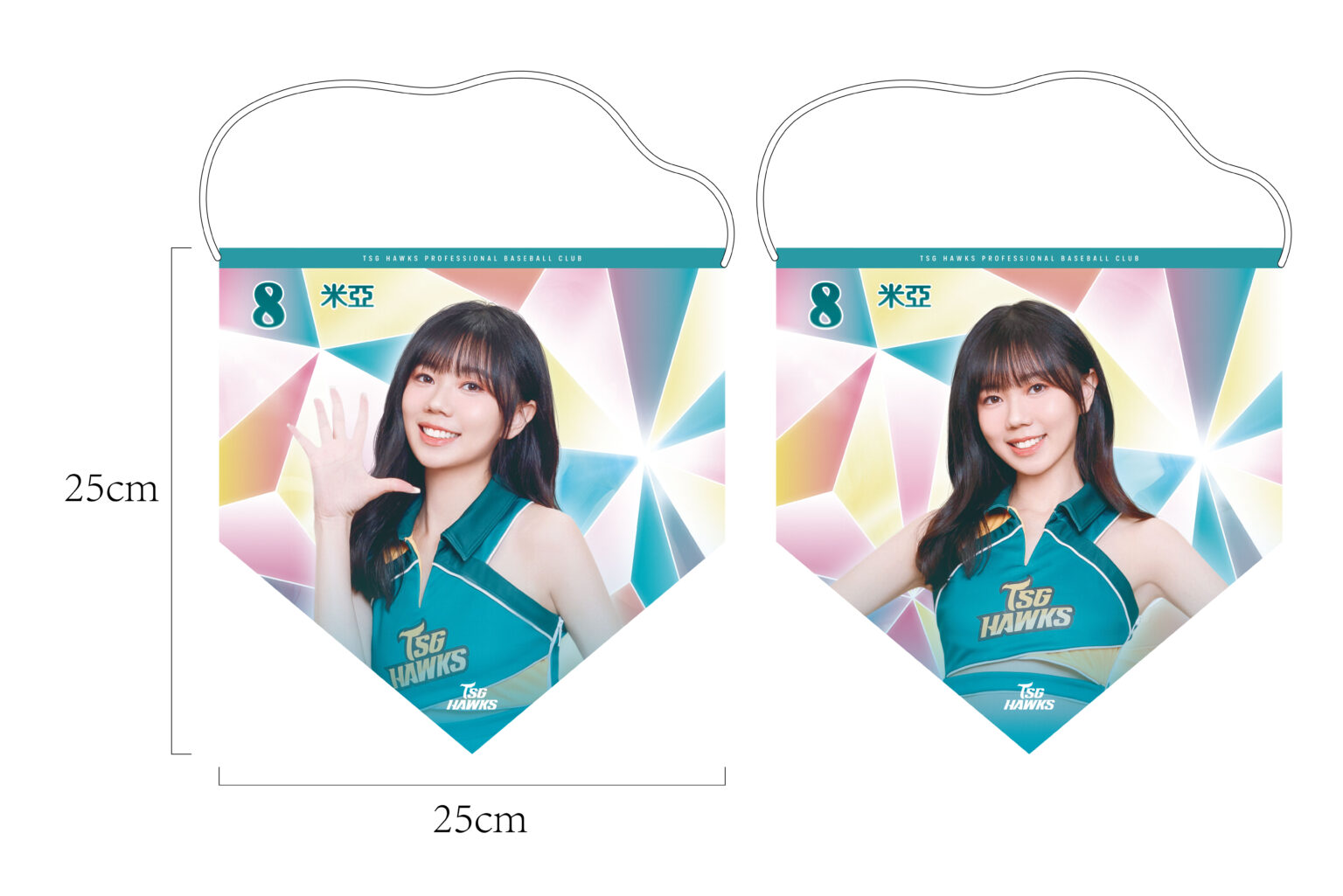 Wing Stars本壘板掛旗 - TSG Hawks