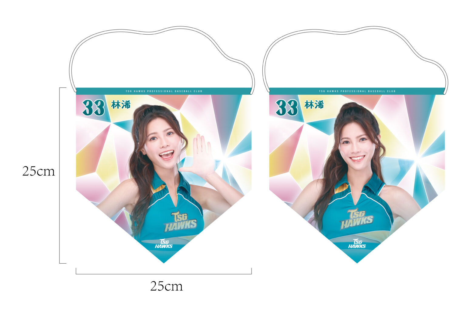 Wing Stars本壘板掛旗 - TSG Hawks
