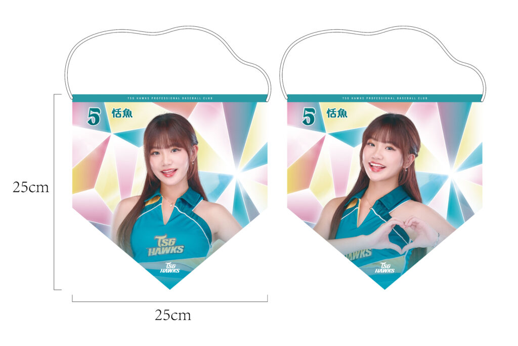 Wing Stars本壘板掛旗 - TSG Hawks
